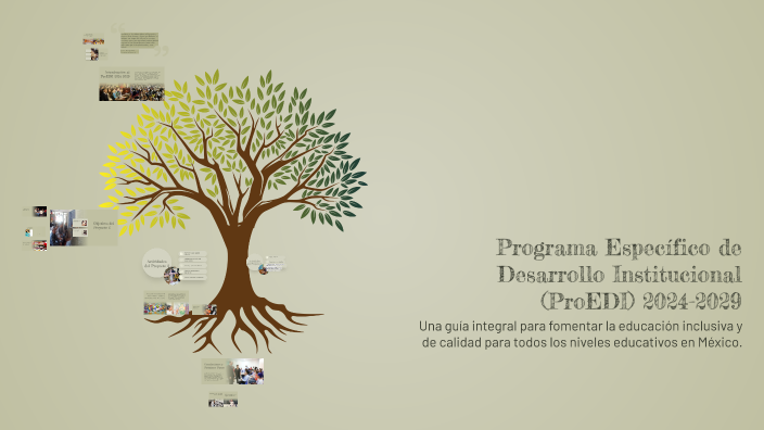 Programa Específico de Desarrollo Institucional (ProEDI) 2024-2029 by ...