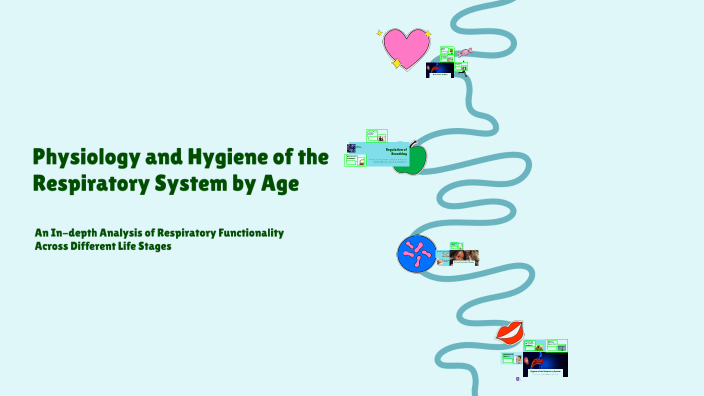 Physiology and Hygiene of the Respiratory System by Age by Fotehjon ...