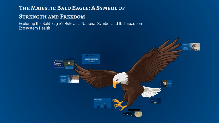 The Majestic Bald Eagle: A Symbol of Strength and Freedom by Travis ...