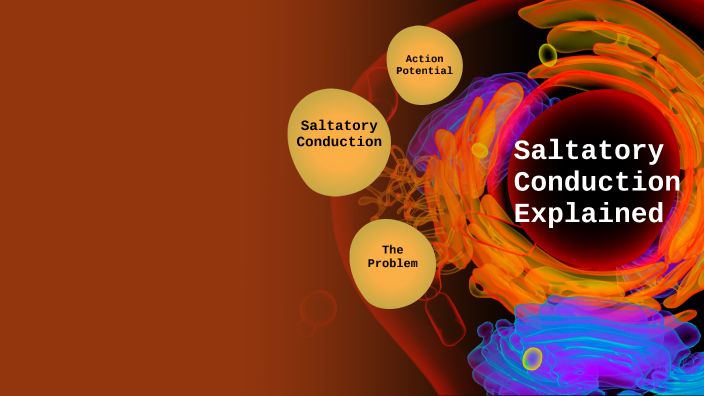 Saltatory Conduction by Omar Flores on Prezi