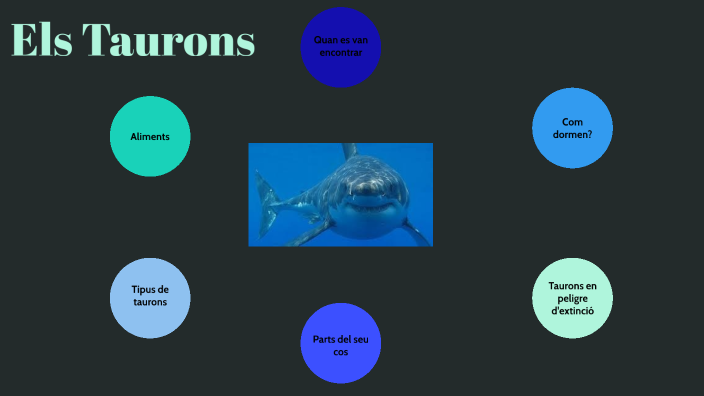 Els taurons by brian ghigliani on Prezi