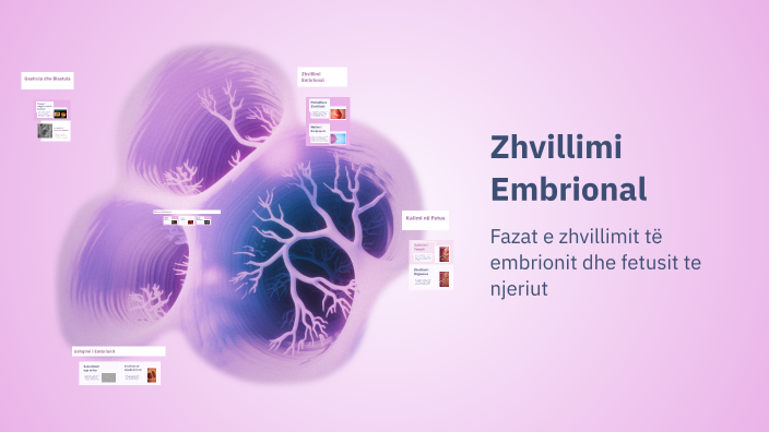 Zhvillimi Embrional by elda arifi on Prezi