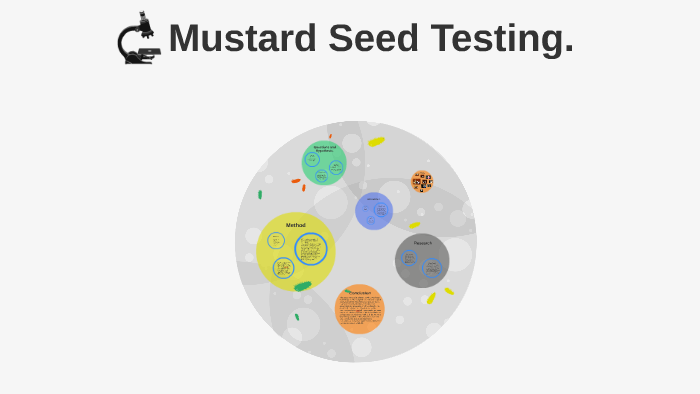 Mustard Seed Experiment by Taylor Labone on Prezi