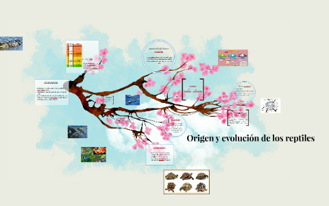 Origen y evolución de los reptiles by María Cadenas on Prezi