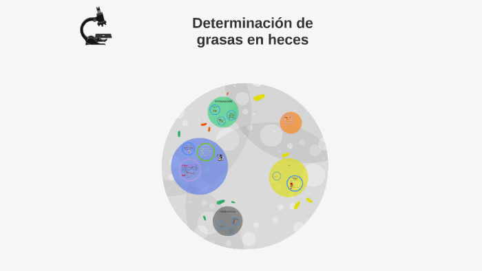 Determinación de grasas en heces by yuvia cruz on Prezi