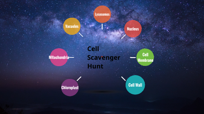 Cell scavenger Hunt by Kenzie Dodson on Prezi