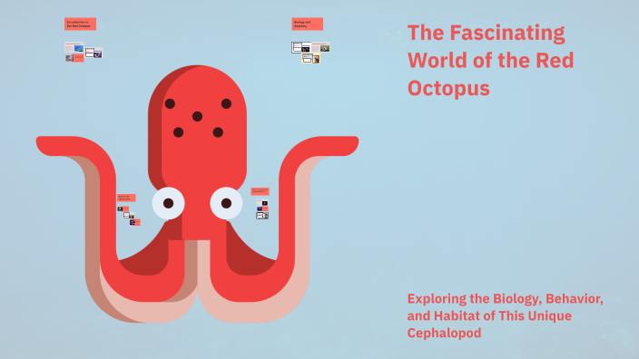 The Fascinating World of the Red Octopus by Serenity Thomas on Prezi