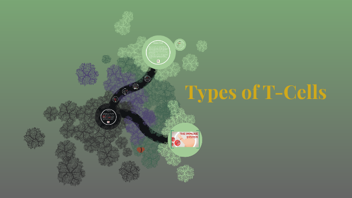 Types of T-Cells by Britni Nicole on Prezi