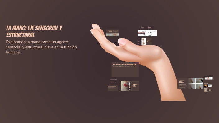 La Mano: Eje Sensorial y Estructural by ELISA MARIA GARCIA on Prezi