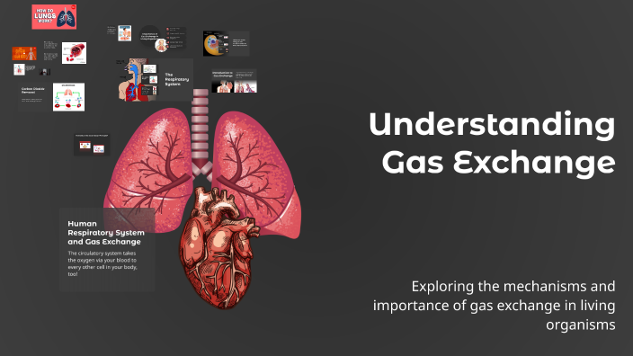 Understanding Gas Exchange by James Alter on Prezi
