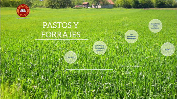 Forrajes y Pastos by Krissia Escalante on Prezi