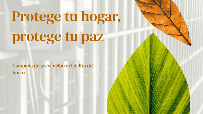 Protege tu hogar, protege tu paz by Juan Jose Osorio González on Prezi