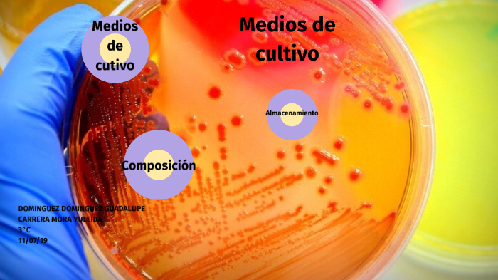 Tipos de medios de cultivo by Guadalupe Dominguez Dominguez on Prezi