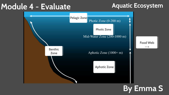 APBio - Module 4 - Aquatic Ecosystem by Emma Shuman on Prezi