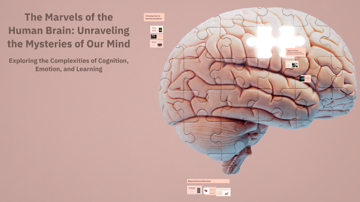 The Marvels of the Human Brain: Unraveling the Mysteries of Our Mind by ...