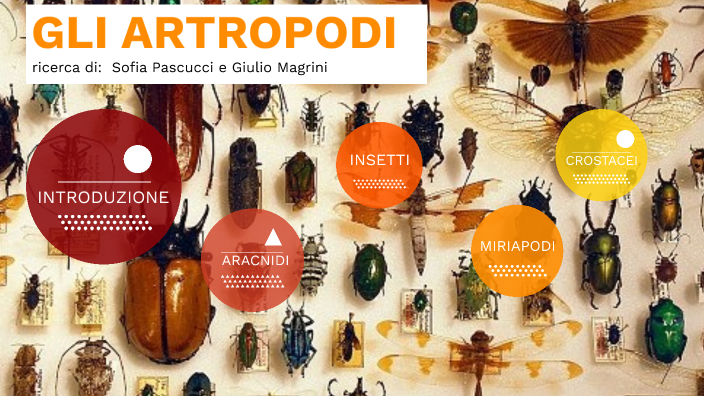 GLI ARTROPODI by Giulio Magrini on Prezi