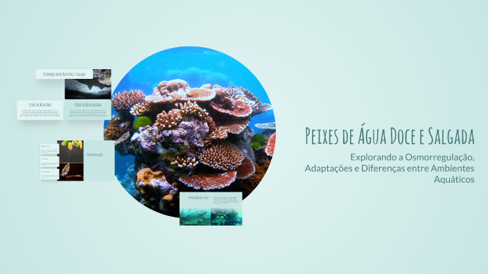 Peixes de Água Doce e Salgada by Kelly Barreto on Prezi