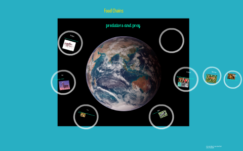 food chains by jayln mitchell on Prezi