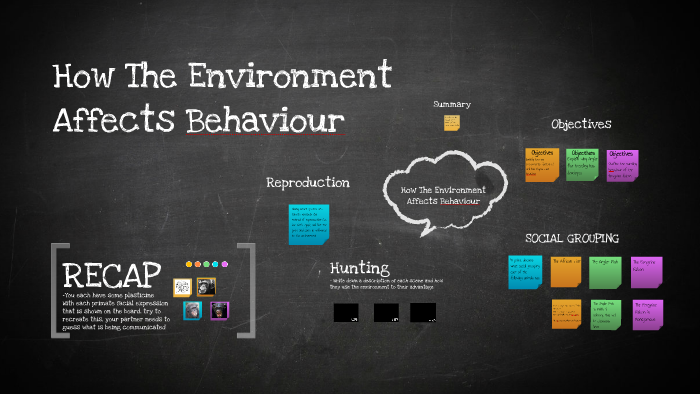 How The Environment Affects Behaviour by Steve Kemmery on Prezi