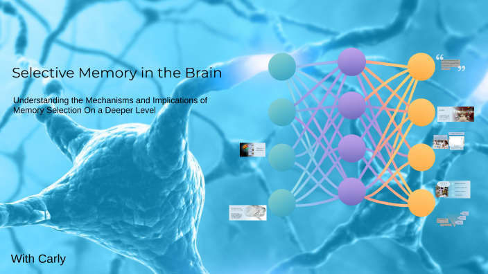 Selective Memory in the Brain by Carly Moravec on Prezi