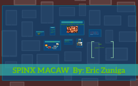 SPINX MACAW by Eric Zuniga on Prezi
