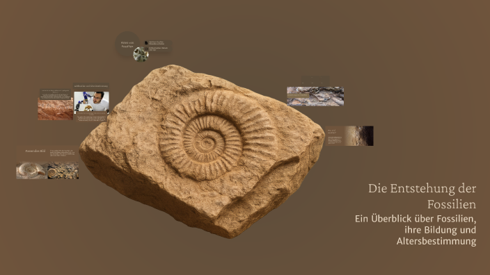 Die Entstehung der Fossilien by Marlene Hilgering on Prezi
