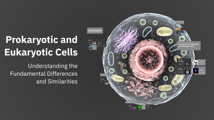 Prokaryotic and Eukaryotic Cells by Srikanth Pujari on Prezi