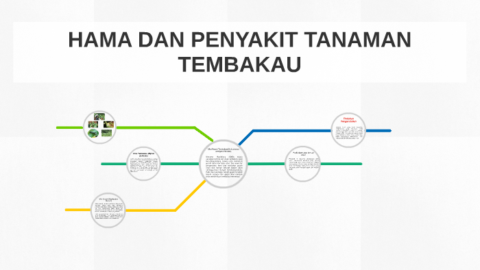 HAMA DAN PENYAKIT TANAMAN TEMBAKAU by Yusuf Hadi on Prezi