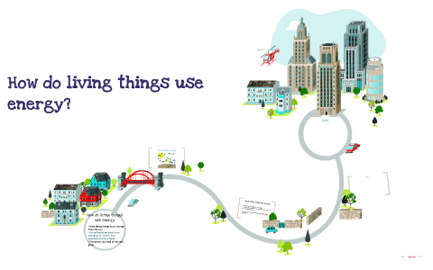 How do living things use energy by Pamizz Panika on Prezi