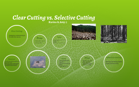 Clear Cutting vs. Selective Cutting by Amy Luong on Prezi