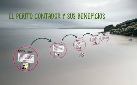 EL PERITO CONTADOR Y SUS BENEFICIOS by Emily Shanell C on Prezi