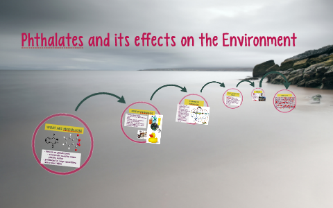 Phthalates and its effects on the Environment by Nielah McKee on Prezi