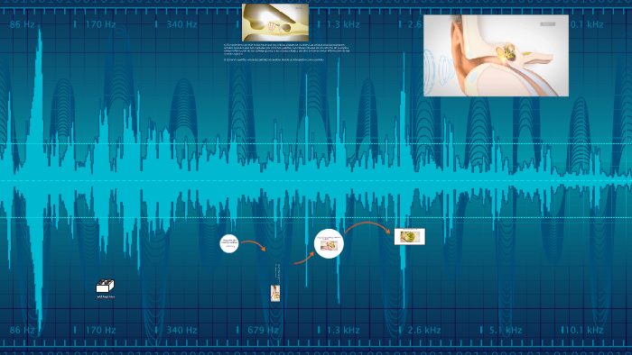 Diagrama del proceso auditivo by Ricardo Giles on Prezi