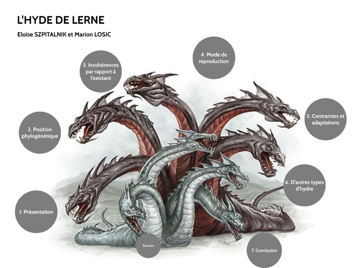 Hydre TP 8 Bio Eco by Marion Losic on Prezi