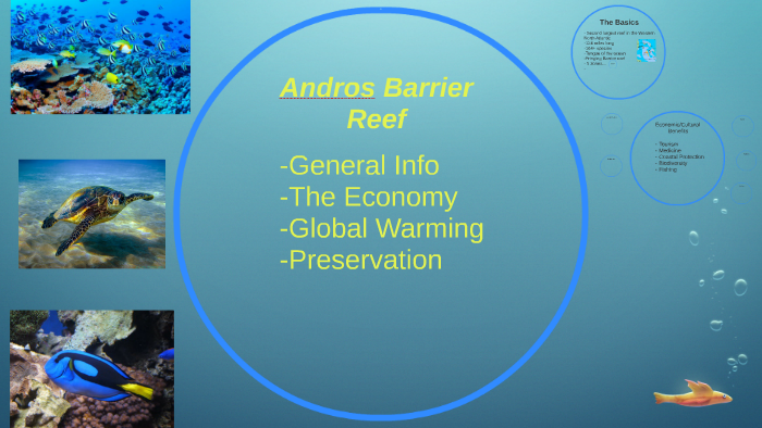 Andros Barrier Reef by Brennan Paradee on Prezi