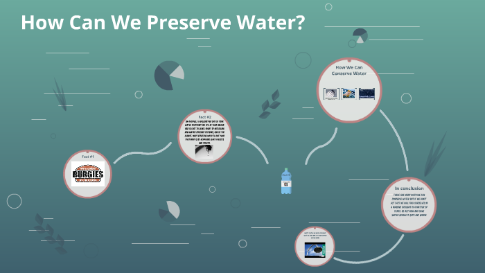 How Can We Preserve Water? by Caleb M