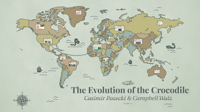 The Evolution of the Crocodile by Campbell Walz on Prezi