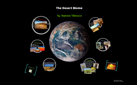 Biome Project-Desert by Stephanie Villanueva on Prezi