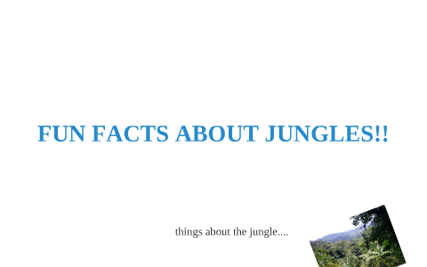Fun facts about jungles!!!!♥ by Madison Southard on Prezi