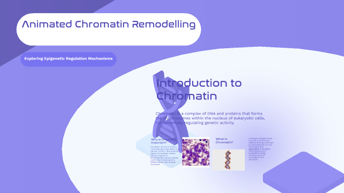 Animated Chromatin Remodelling by Dr Asifa Majeed on Prezi