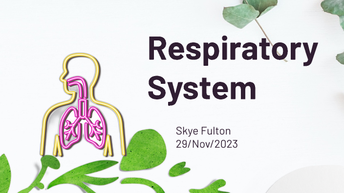 Skye's Science: Respiratory System by Skye Fulton on Prezi