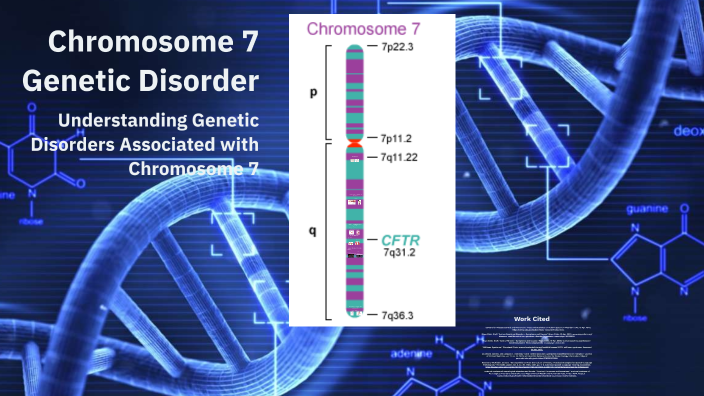 Chromosome 7 Genetic Disorder by Henry Chung on Prezi
