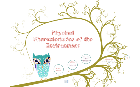 The Physical Characteristics of the Environment by Kaitlyn Allen on Prezi