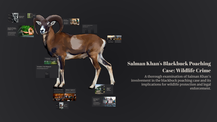 Salman Khan's Blackbuck Poaching Case: Wildlife Crime by Darshan Patel ...