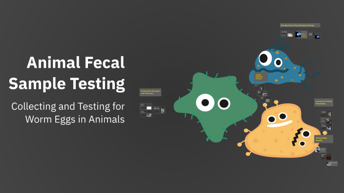 Animal Fecal Sample Testing by Roseen Law on Prezi