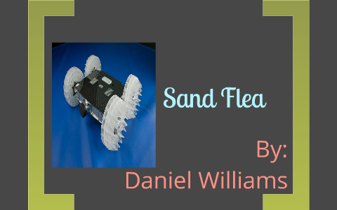 sand flea robot by daniel williams on Prezi