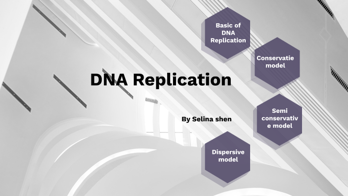 DNA Replication by Selina Shen on Prezi