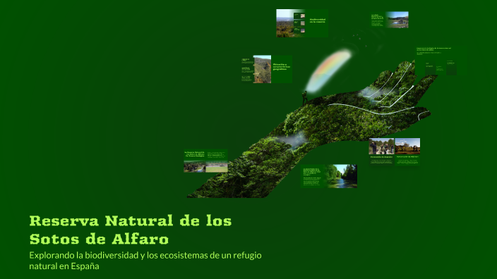 Reserva Natural de los Sotos de Alfaro by Darío Ángulo on Prezi