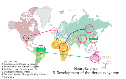 N.S 5. Development of the Nervous System by Yousung Seo on Prezi