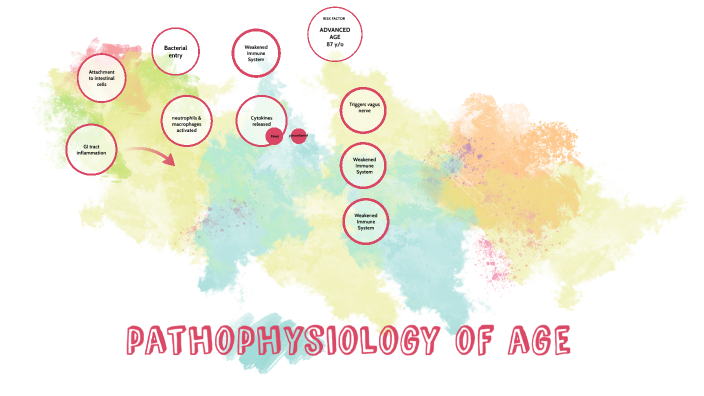 pathophysiology of age by BSN 1-A BERNARDO, Kathleen on Prezi